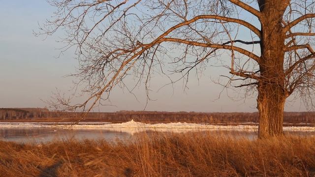 Музыка флейты повышающая положительные вибрации. Весенняя рапсодия