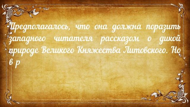 История Беларуси 7 класс_ Культура белорусских земель первой половины  — середины XVI  в