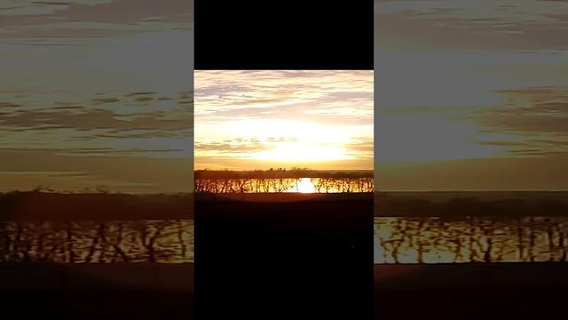 VID_2024-10-19-16-41-44-653.mp4