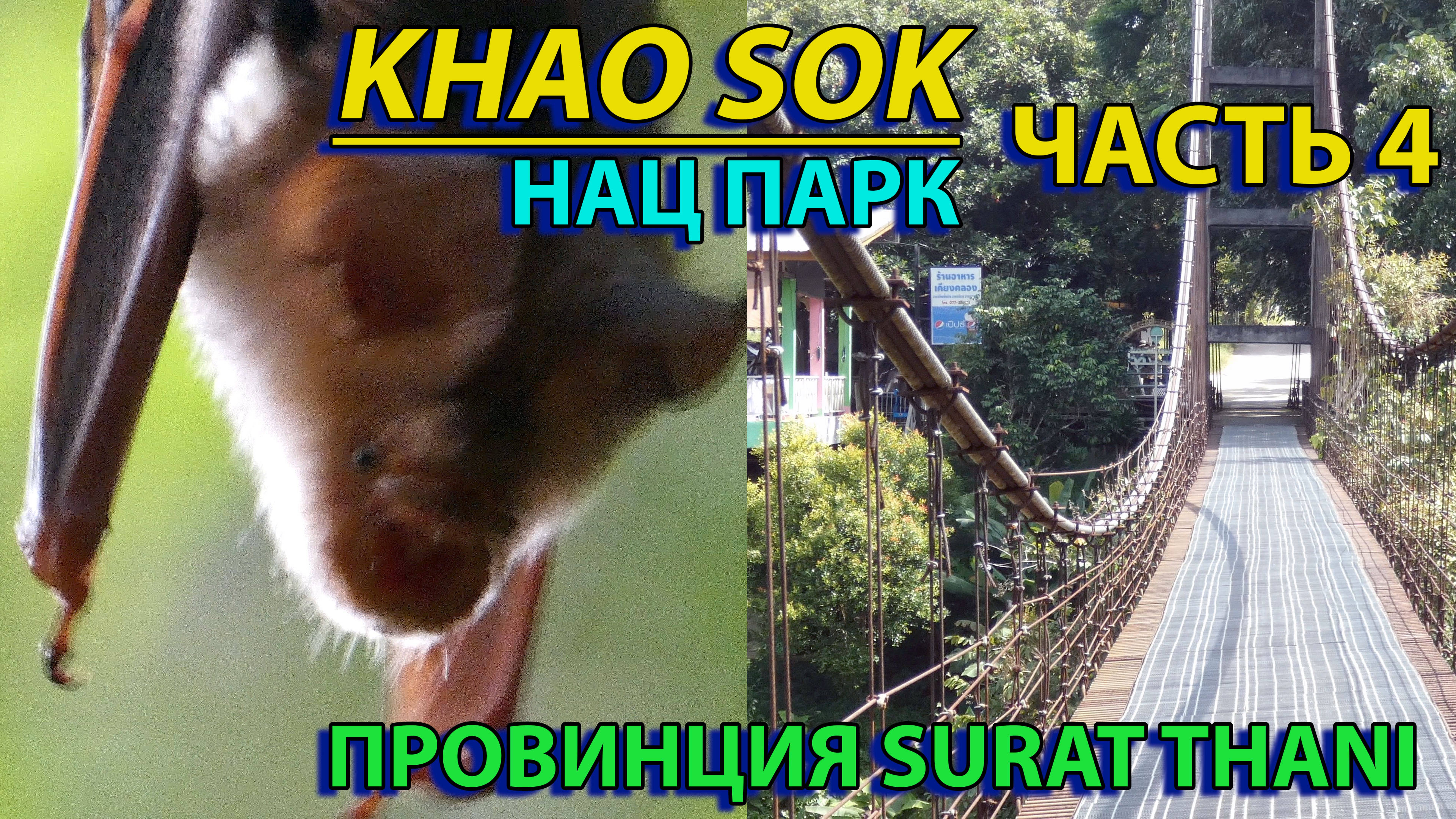KhaoSok ночные джунгли и озеро, 4 часть