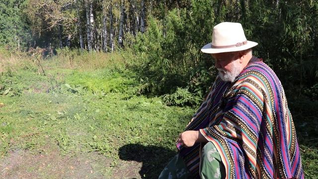 Тайна белого шамана