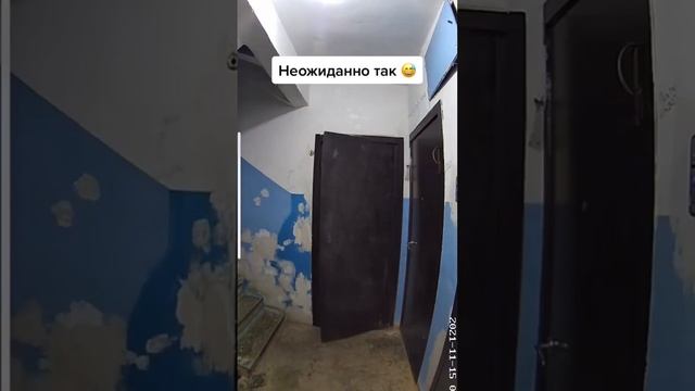 когда снял квартиру ниже рынка