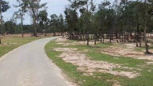 SAFARI VINPEARL PHÚ QUỐC | VƯỜN THÚ HOANG DÃ | @LE BANG GIANG