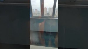 метро Позняки . улица Анны Ахматовой 37. 2 ком квартира.+38067 402 41 81