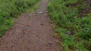Ролик не вошёл в видео 'Усть-Кут - Владивосток'.