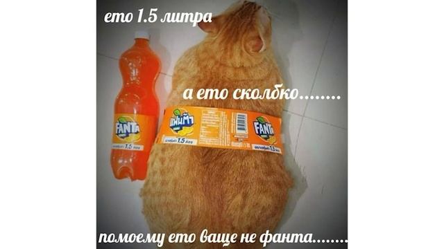 📹 Приколы с котами. ЛУЧШЕЕ ЗА МАРТ 2024 | Мемозг 
👤 #Alexey_Sova