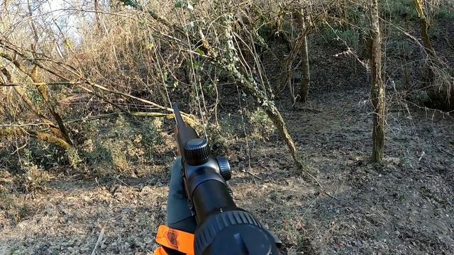 un sanglier de 100kg à la 9.3× 62 Browning maral - смотреть видео ...