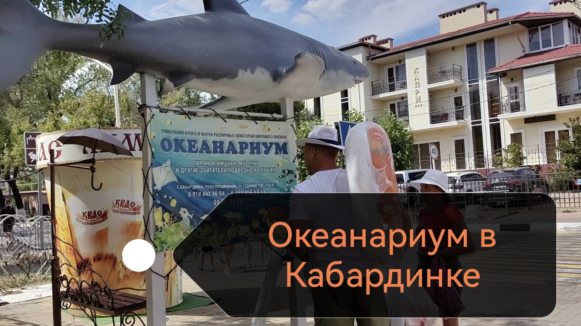 Океанариум в Кабардинке / Едем на море 2024 / Вязьма - Кабардинка / Часть 4