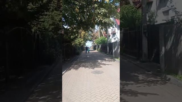 Куда ведёт эта жёлтая улочка