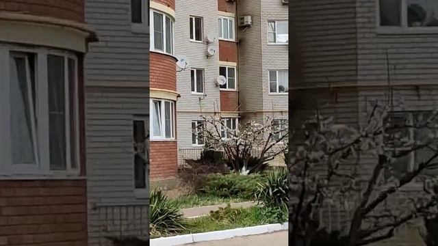 Краснодарский Край, Город Ейск 2 Апреля