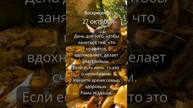 Прогноз на 27 октября  #ведическаяастрология #гороскоп #прогноз #прогнознадень #астрология #джйотиш