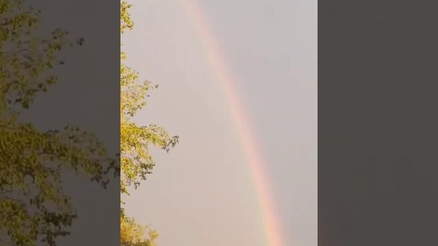 Радуга в моём городе Белоусово сегодня 10.05.2020г