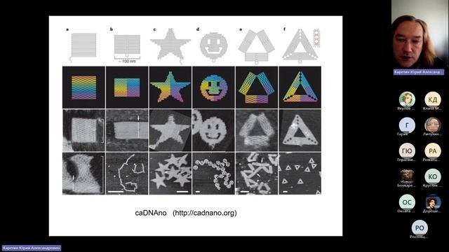 Синергетика для биологов. Лекция 5. Самоорганизация в биосистемах. Часть1 - 2024.03.30