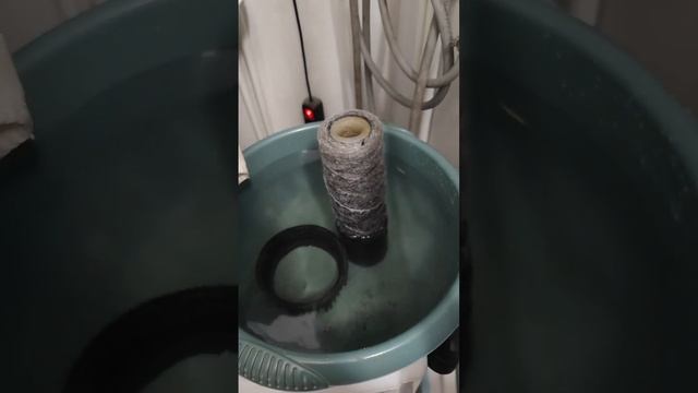 Коммуналка в квартире дорогая!? Дерут три шкуры за воду? Попробуйте пожить в доме! Замена фильтра!