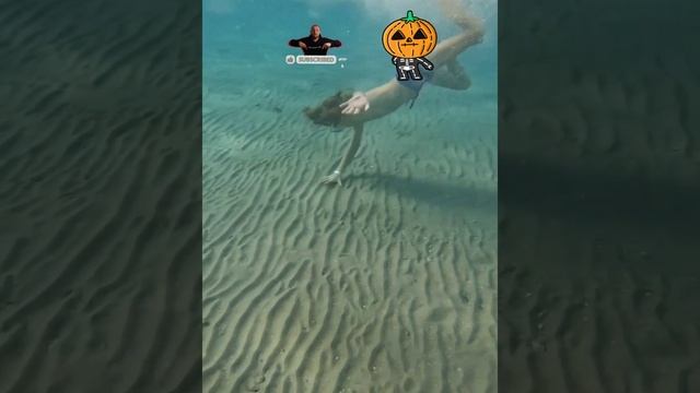 Я в Египте, а вы?