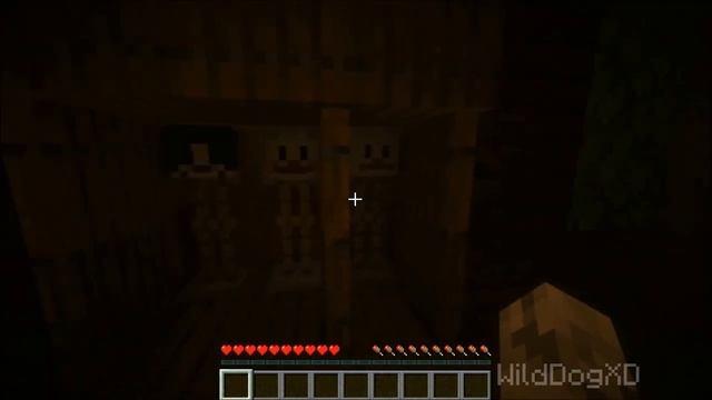 Minecraft CREEPYPASTA_ Possessed (ft. MrHoneyBun)