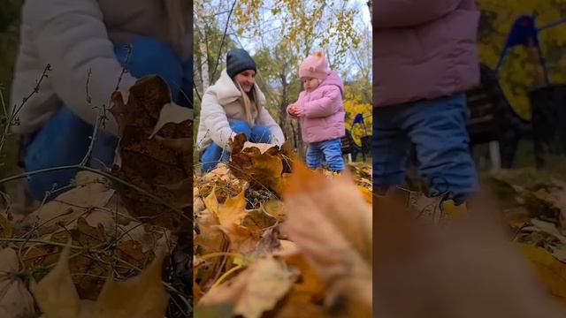 Осень золотая, гуляем в парке с ребенком