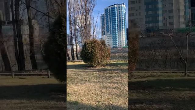 #краснодар