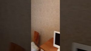 Квартира посуточно