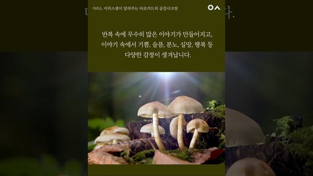 이리스샘이 알려주는 타로카드의 공감시크릿. 타로카드책.
