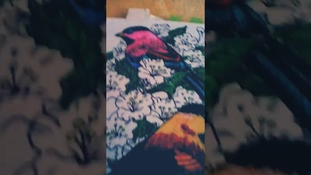 Раскрашиваю раскраску антистресс животные!