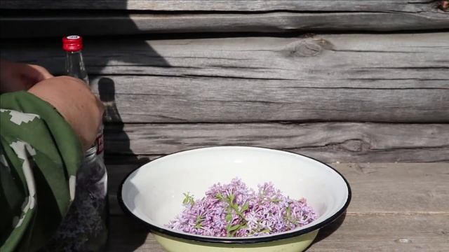 Настойка из цветов сирени на водке. Лечение остеохондроза