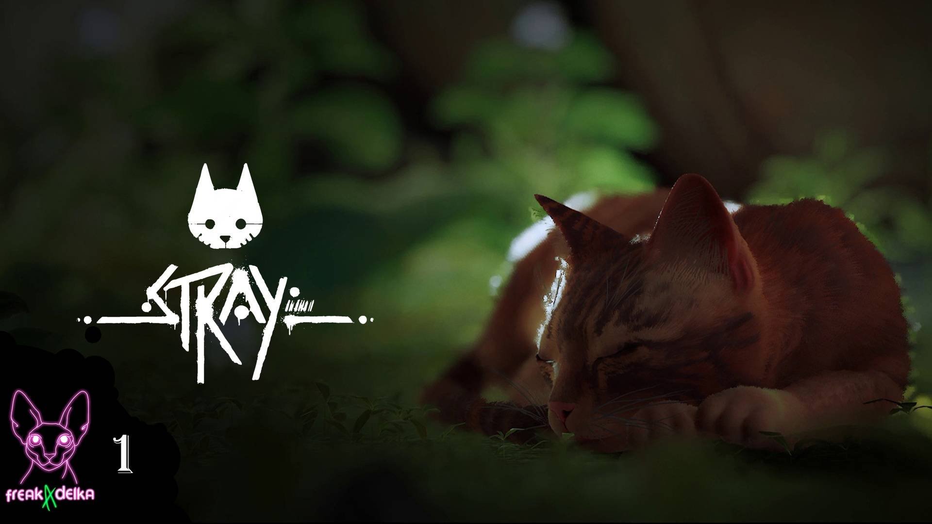 Симулятор котика | Ню и Zetsu | Stray №1