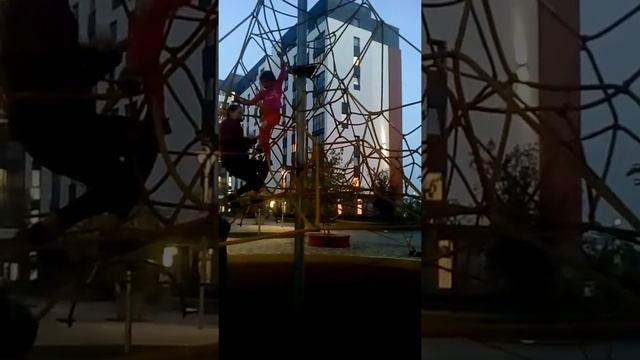 Покорение паутины. Ясный берег . нск.