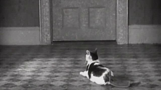 074.Barnum.&.Ringling.Inc.The.Little.Rascals.And.Hardy.rus