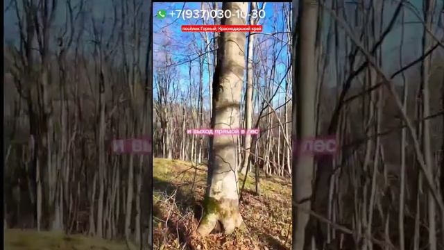 Посёлок Горный, Туапсинский район, Краснодарский край. Самые низкие цены на земельные участки у мор