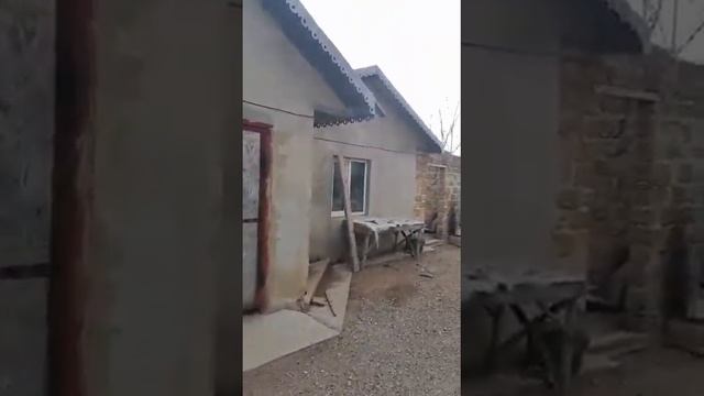 video 2023 07 16 11 32 43