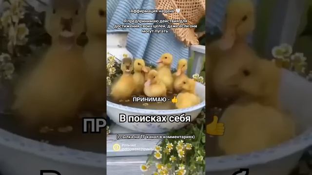 Аффирмация на день 🥰 #психолог #аффирмация #психология #рекомендации #топ #жизнь #любовь #отношения