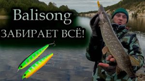 Щука ест BALISONG! ЖАДНЫЕ ПОКЛЕВКИ ЩУКИ НА ВОБЛЕРЫ!