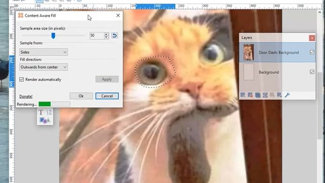 How to use the Content Aware Fill Plugin in Paint.net software ...