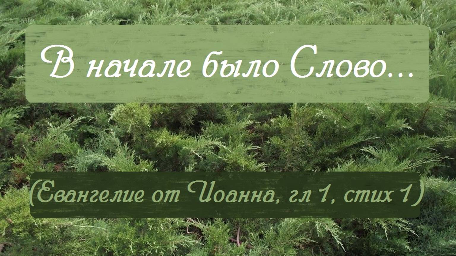 Почему нельзя без исповеди, важность слов. От слов своих осудишься. Можно ли схитрить о своей вере?