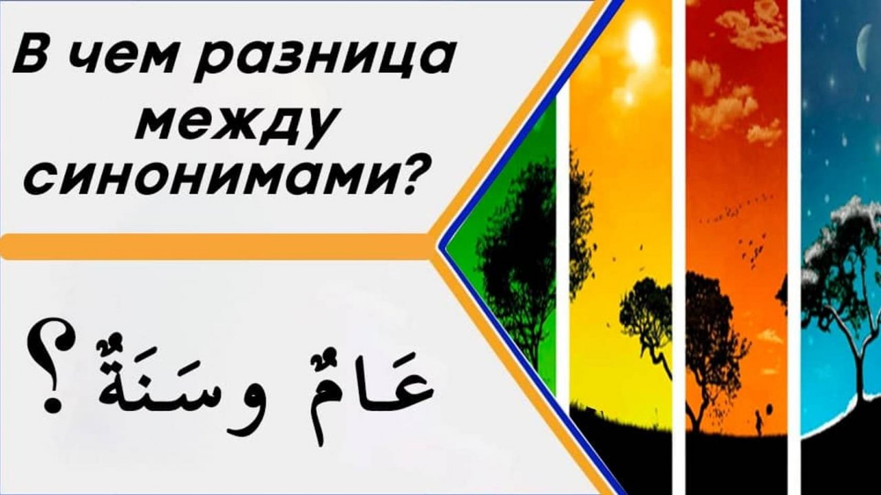 В чем разница между словами (عَامٌ وسَنَةٌ) в значении - год?