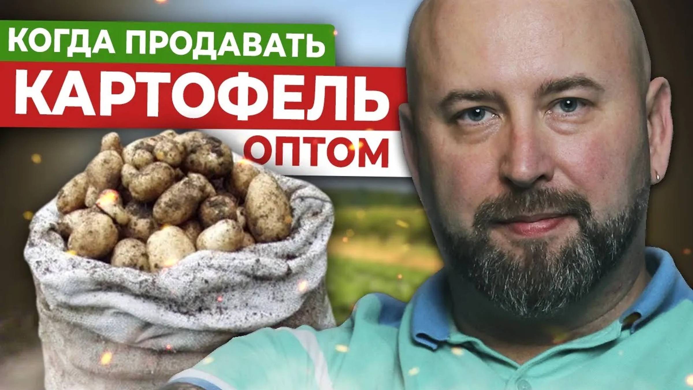 Когда Начинается СЕЗОН КАРТОФЕЛЯ в Оптовом Бизнесе. Кто Оплачивает Доставку. Оптовый бизнес
