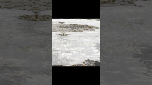 A064A_LIGHT GREY SHRINK  GOLD FDY-овал