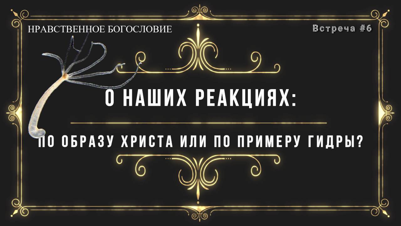 О НАШИХ РЕАКЦИЯХ: ПО ОБРАЗУ ХРИСТА ИЛИ ПО ПРИМЕРУ ГИДРЫ