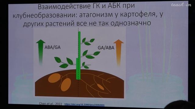 Лабунская Е.А. - Рост и развитие растений - 9. DELLA-белки. Эффекты гиббереллинов. АБК
