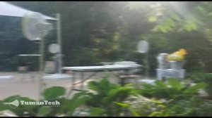 Аренда тумана на мероприятии в Аптекарском огороде