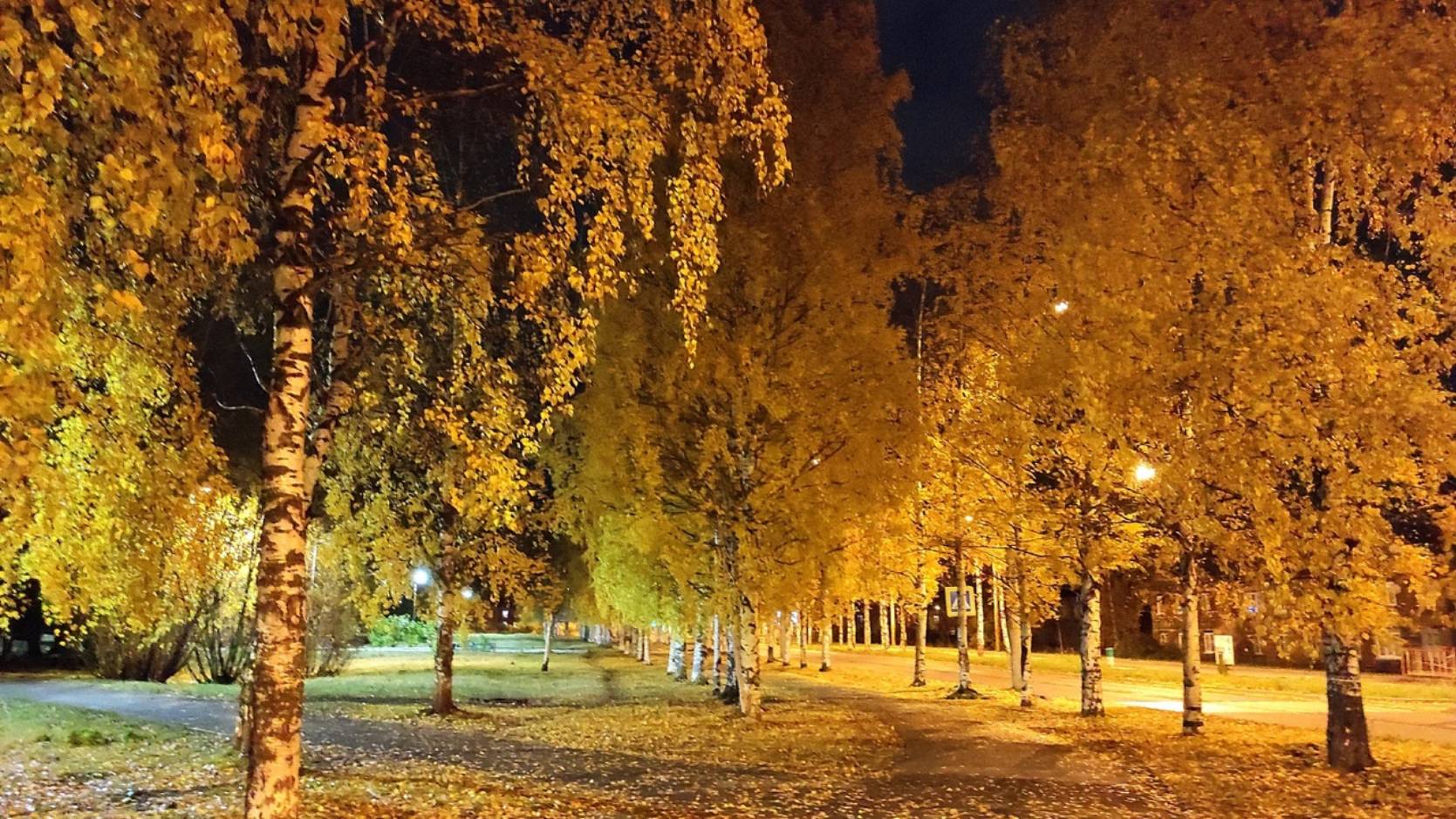 "ГОРИТ, НАВЕРНОЕ, НЕ ОСЕНЬ"... (Фото Александра СОСНИНА (Архангельск) - Поёт Валерий ОБОДЗИНСКИЙ)