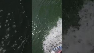 Дневник перехода 3 шлюзы