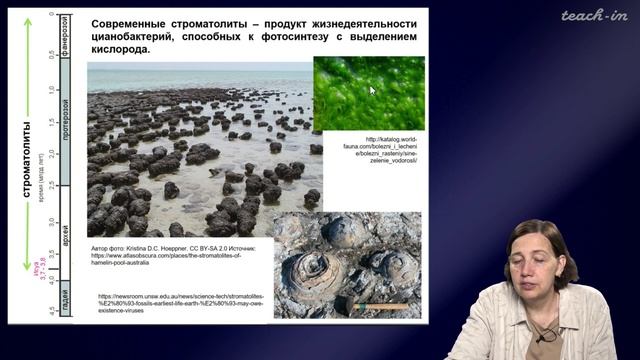 Тесакова Е.М. - Лекции по геологии для школьников - 1. Кислород в истории Земли