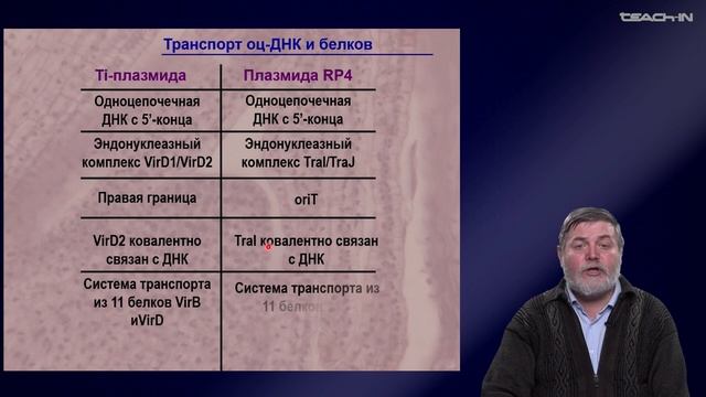 Чуб В.В. - Молекулярная генетика развития растений - 3. Трансформация растений