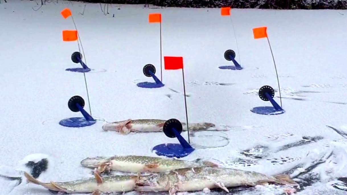 Первый лёд. Активный клёв щуки