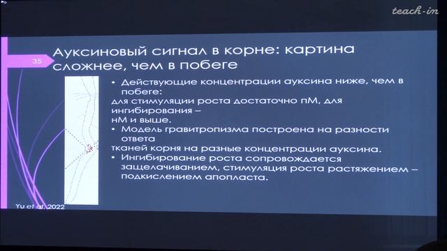 Лабунская Е.А. - Рост и развитие растений - 5. Рецепция и передача ауксинового сигнала. Часть 2