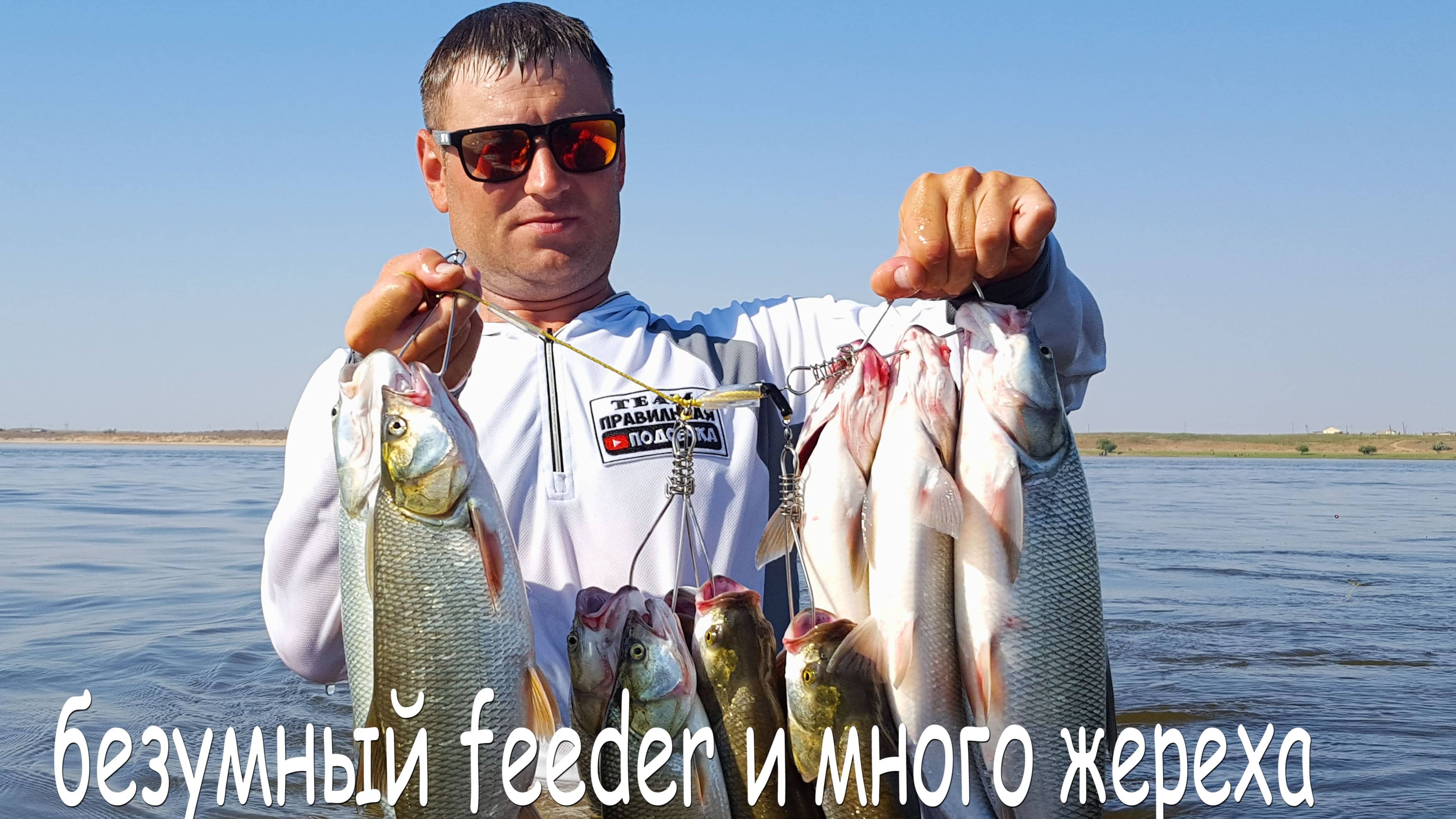 Рыбалка в Астрахани//Безумный фидер и много Жереха//#teamправильнаяподсечка