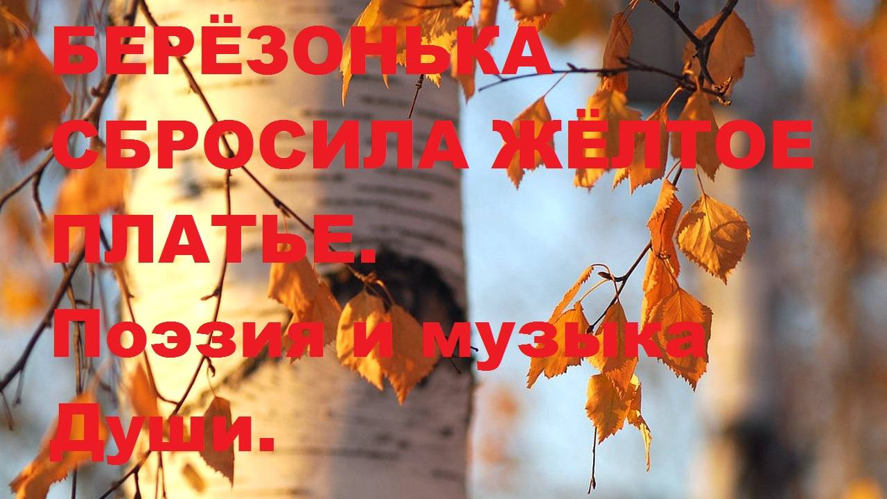 БЕРЁЗОНЬКА  СБРОСИЛА  ЖЁЛТОЕ  ПЛАТЬЕ. Автор стихотворения и видео А. Соколов. Музыка Nostalgia.