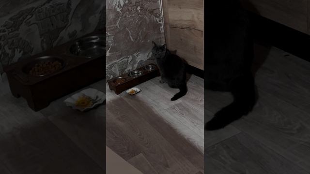Бонифаций